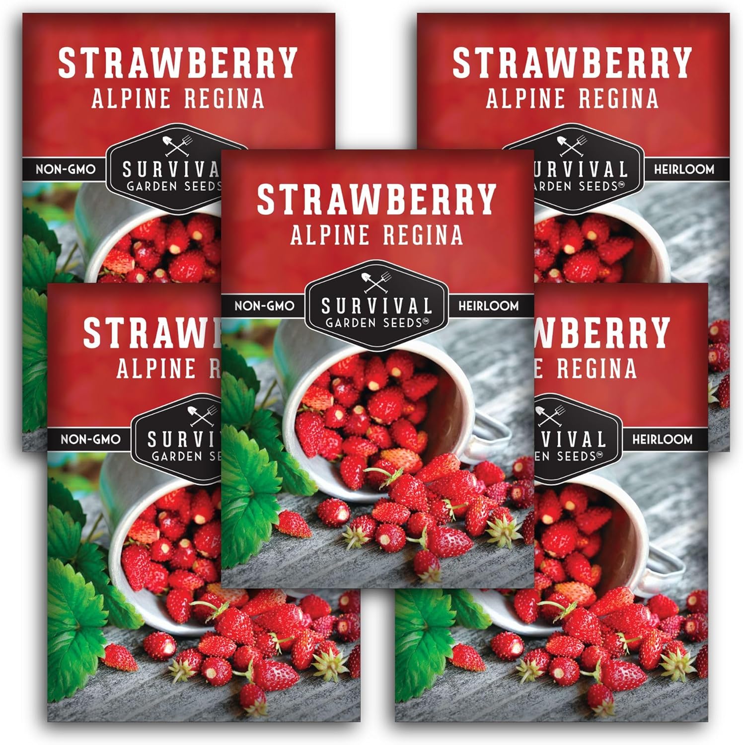 Amazon.com : Alpine Regina Strawberry Seed for Planting - 5 Packets ...