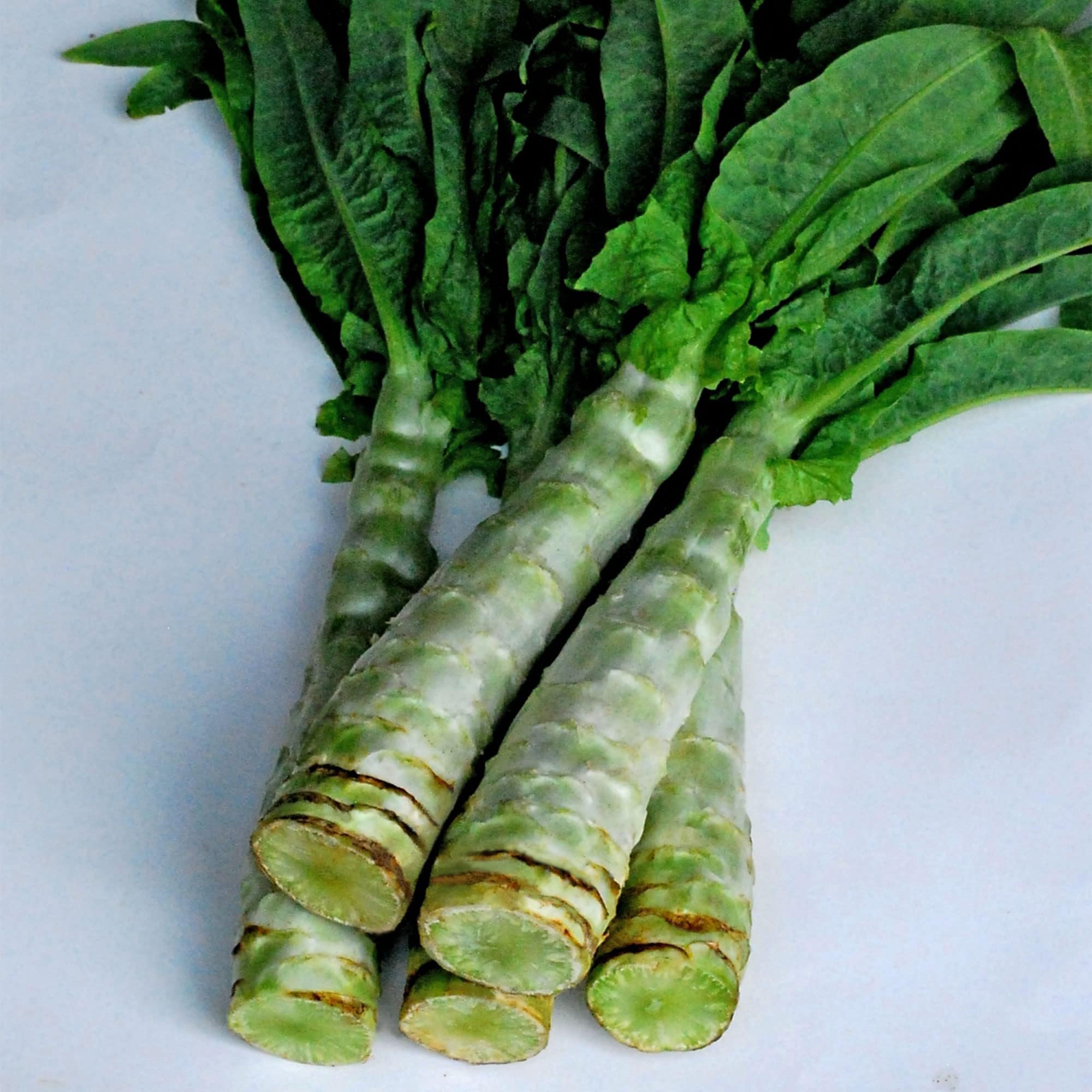 Amazon.com : Lettuce Seeds - Summer 38 Celtuce - 2 g Packet ~1332 Seeds ...