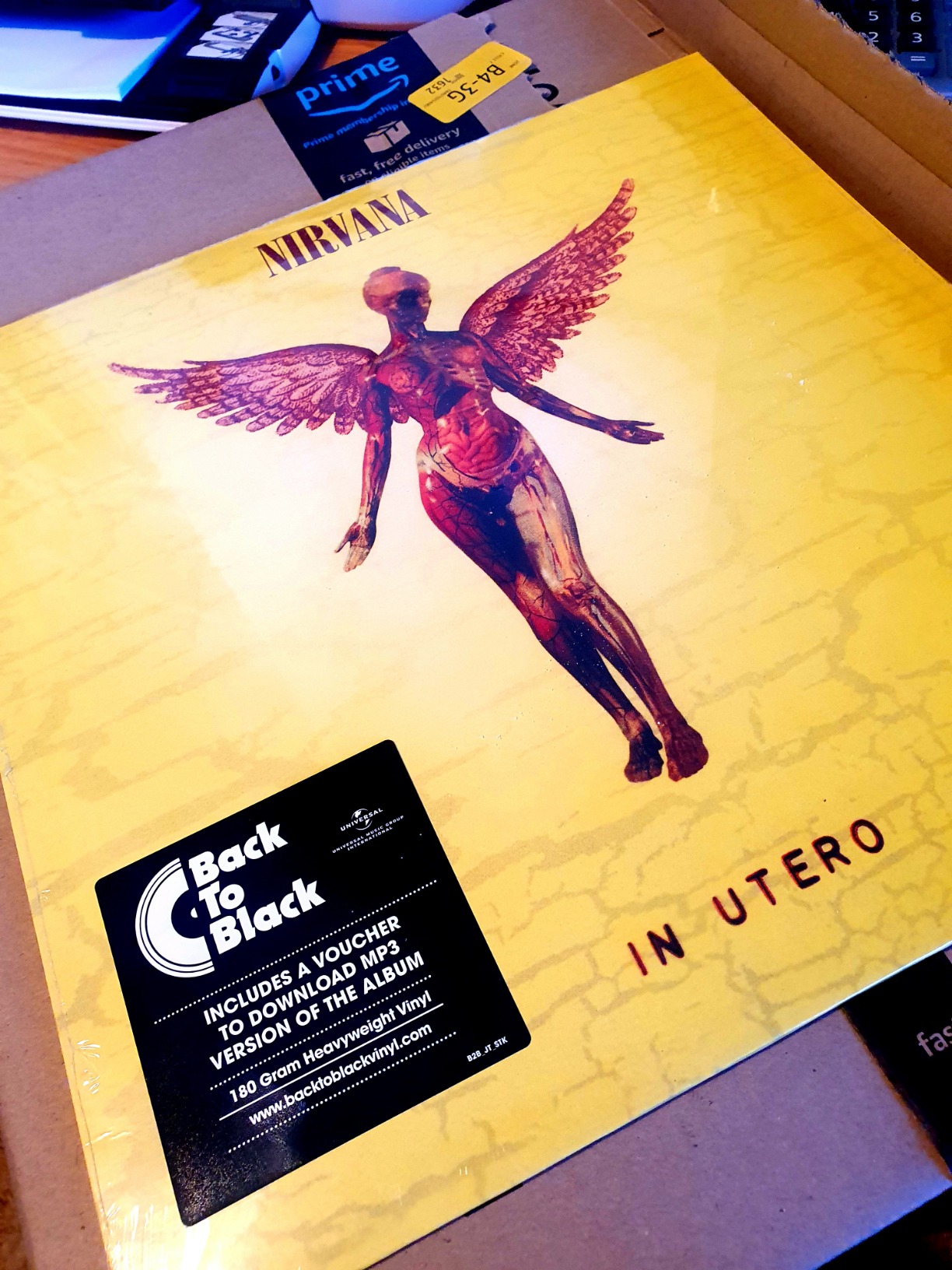 NIRVANA - In Utero | Amazon.com.au | Music