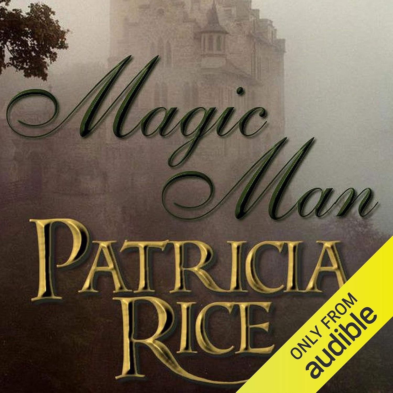 Amazon.com: Magic Man (Audible Audio Edition): Patricia Rice, Greg ...