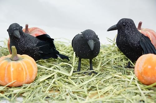 Negro Glittered Small Halloween crows- 3 PC negro Aves con plumas ...