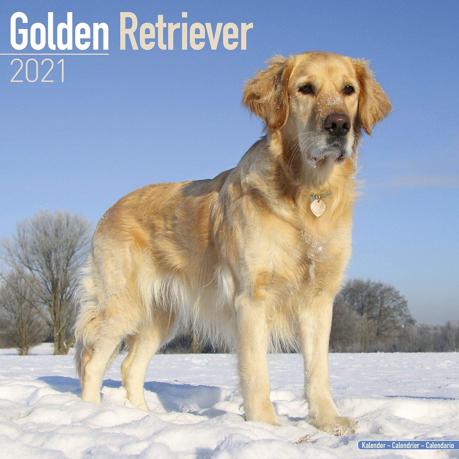 Golden Retriever Calendar - Dog Breed Calendars - 2020 - 2021 wall ...