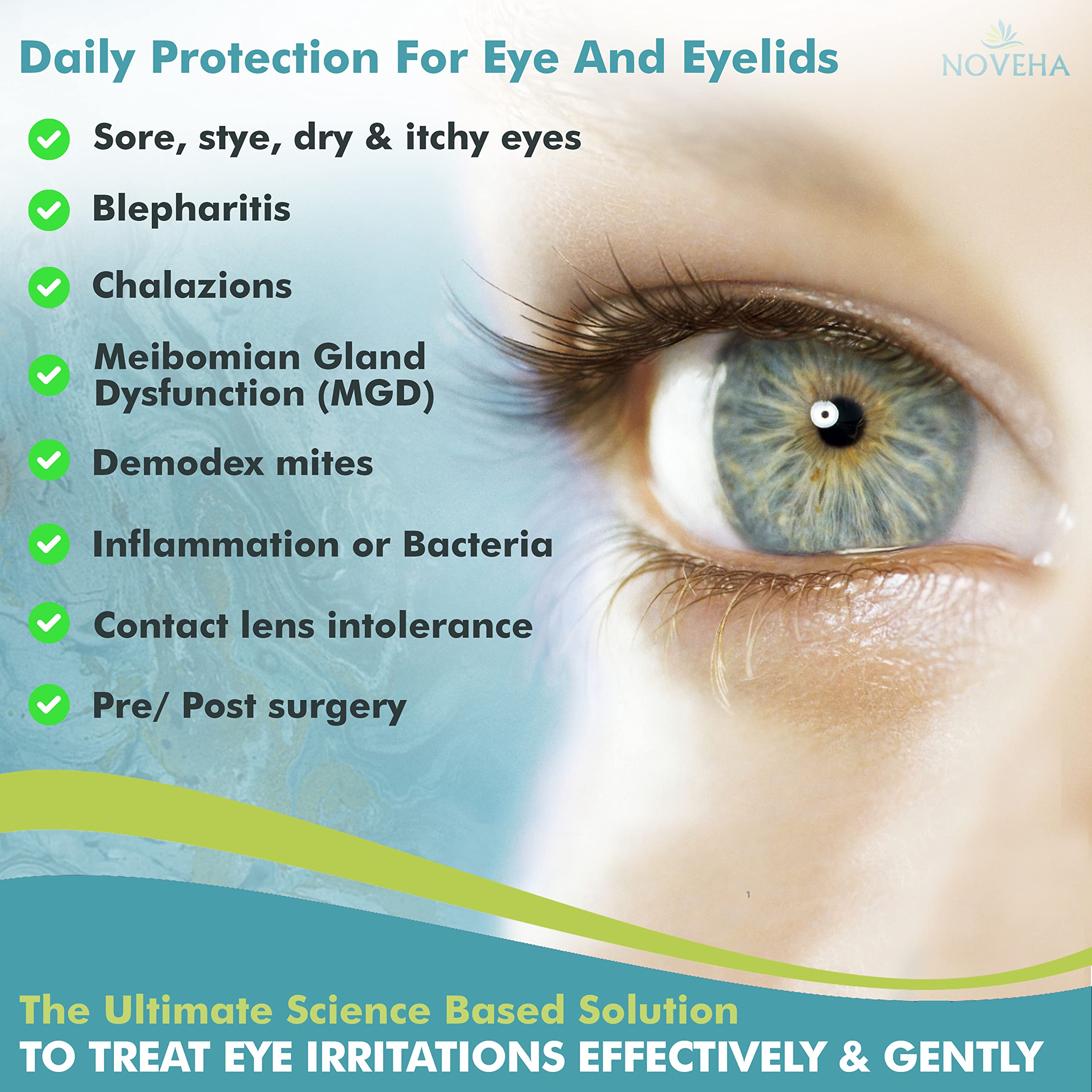 Eyelid Disease Blepharitis