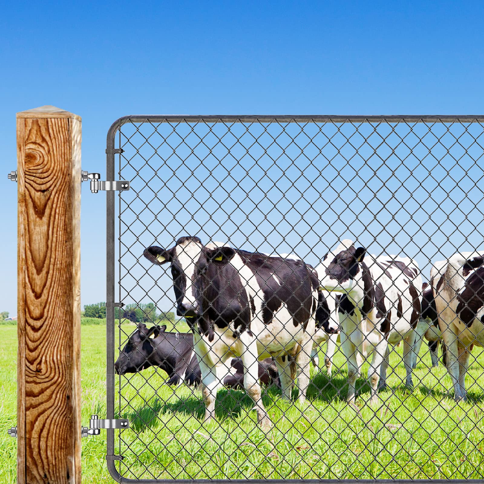 Snapklik.com : J Bolt Gate Hinge, 304 Stainless Steel Farm Gate Hinges ...