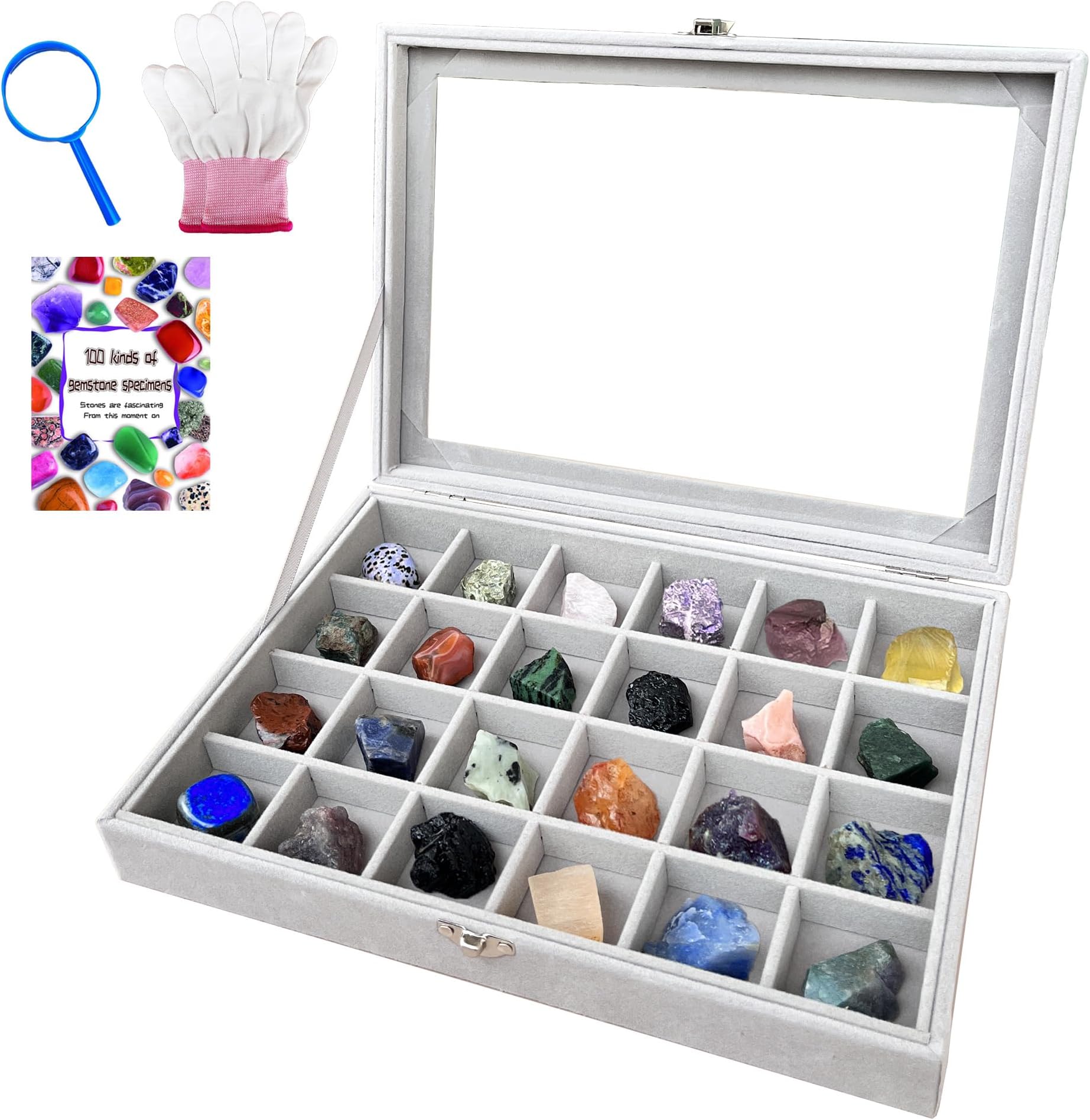 Amazon.com: BTYCityMao Rock Collections Box for Kids - Rock Display ...