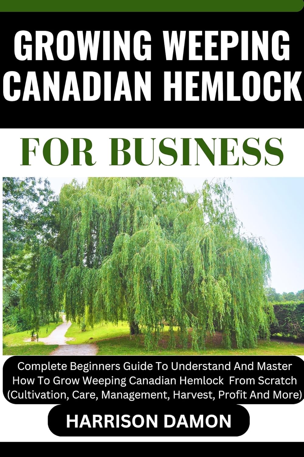 GROWING WEEPING CANADIAN HEMLOCK FOR BUSINESS: Complete Beginners Guide ...