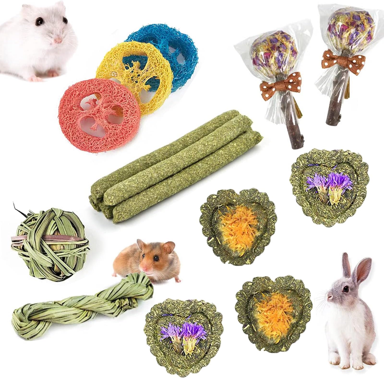 FIPASEN Rabbit Chew Toys for Teeth, 16PCS Natural Timothy Hay Chew Toy ...