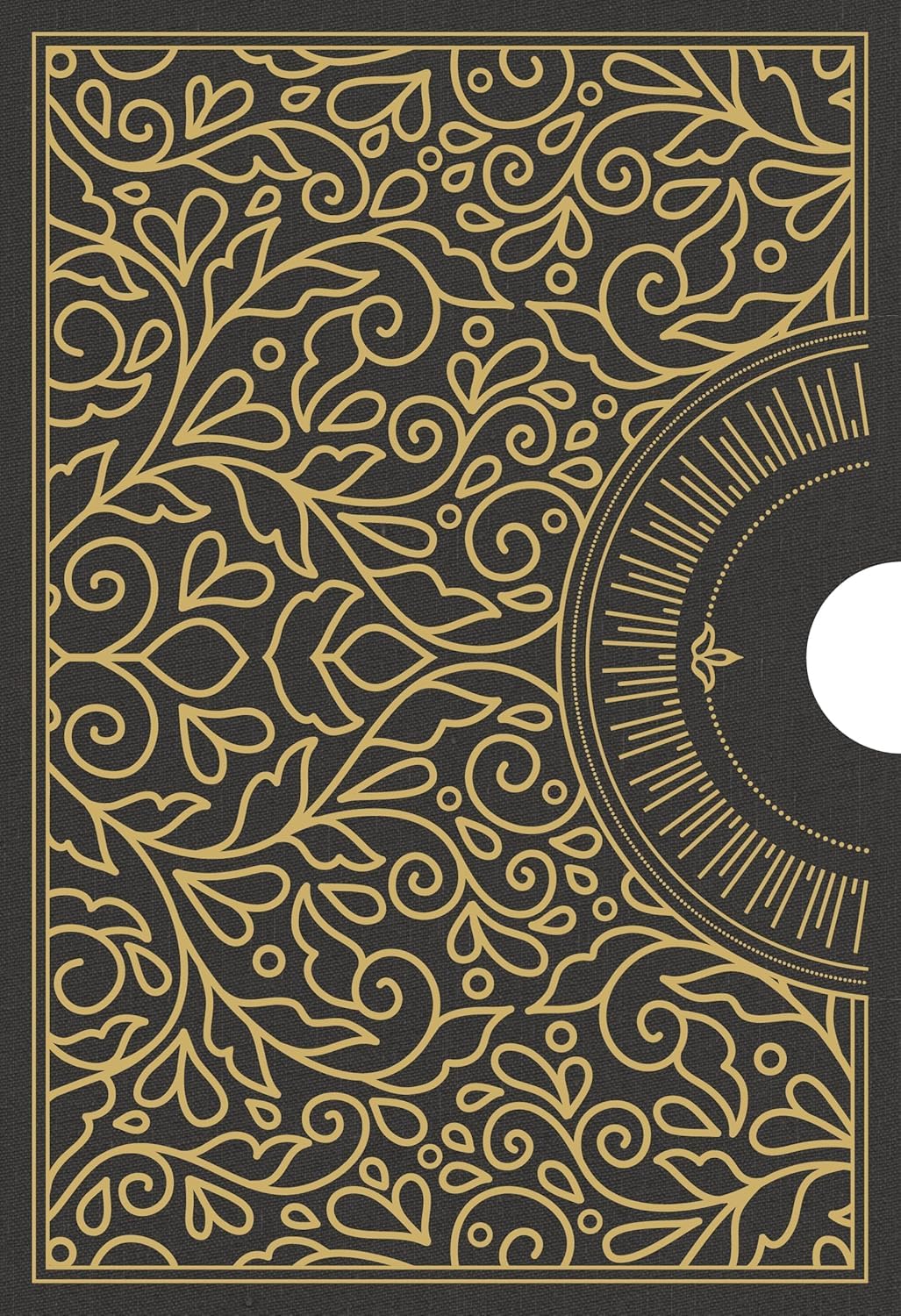 The 30 Days Series Bundle: CSB Edition, Black Letter, Daily Readings ...