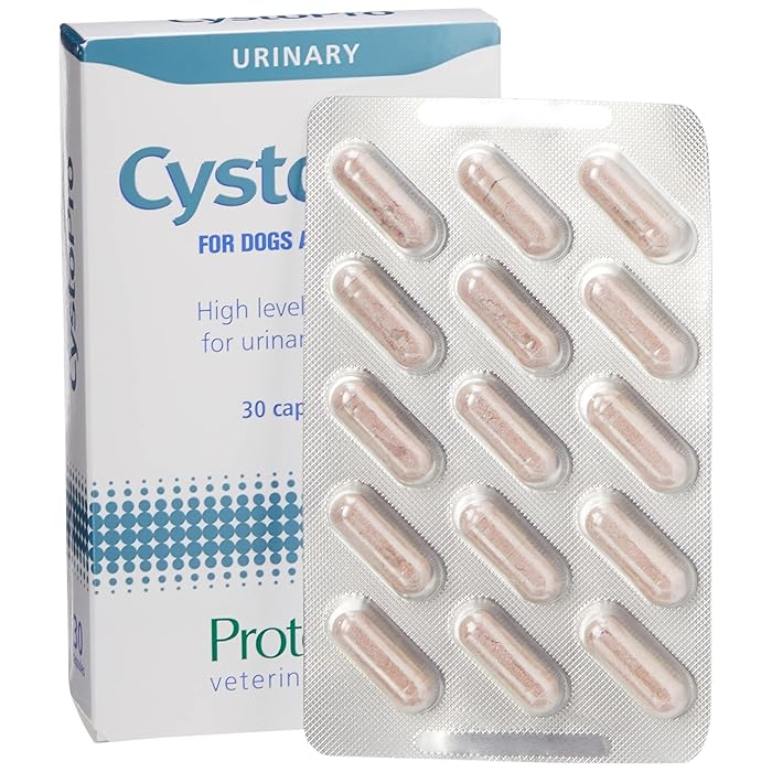 Buy Protexin Veterinary CystoPro - Bladder and Urinary Support for Dogs ...