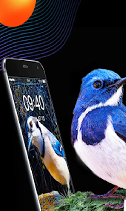 Wallpaper Background My Photo - App on Amazon Appstore