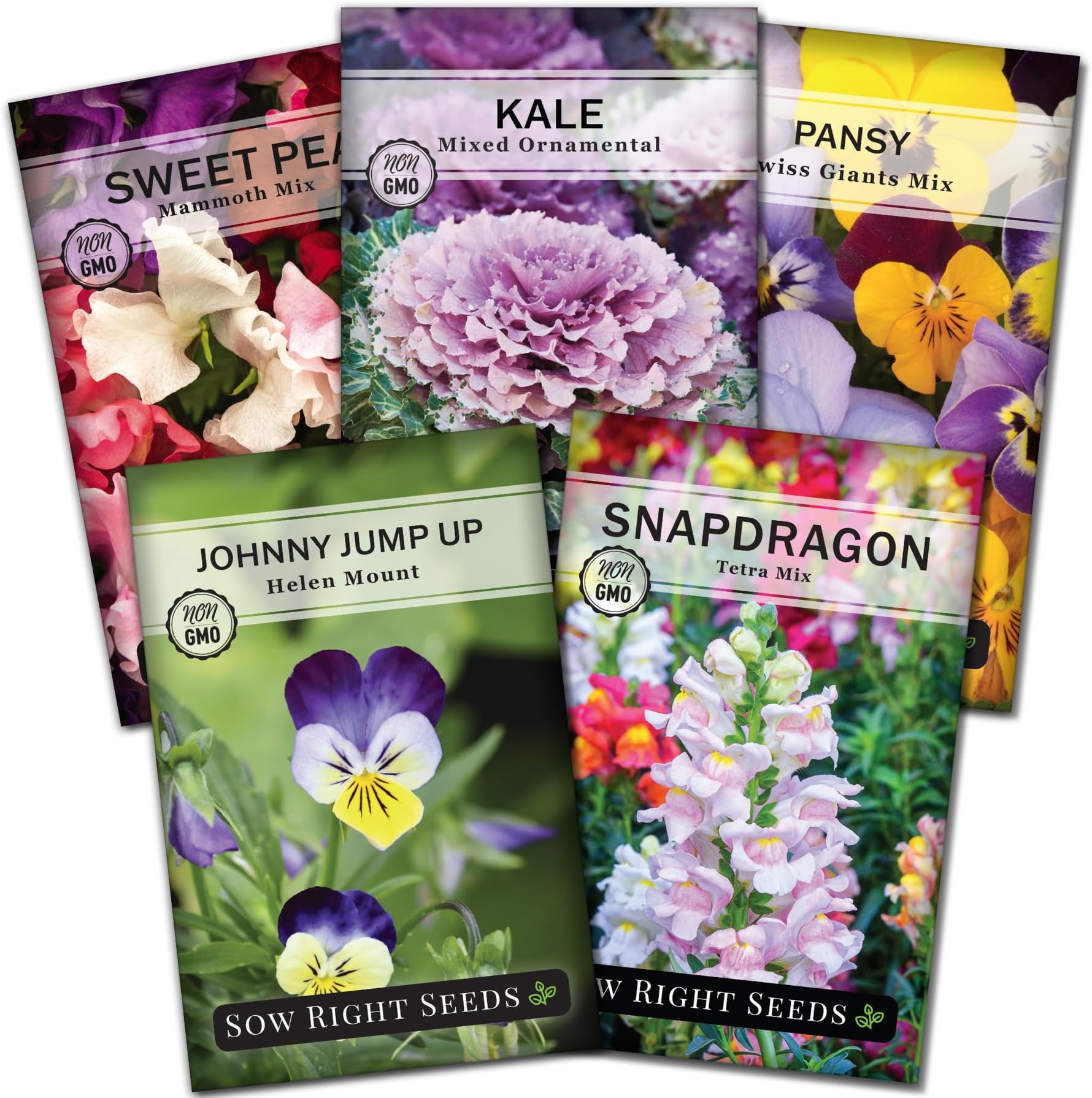 Amazon.com : 50 WHITE PANSY Clear Crystals Violet Viola Wittrockiana ...