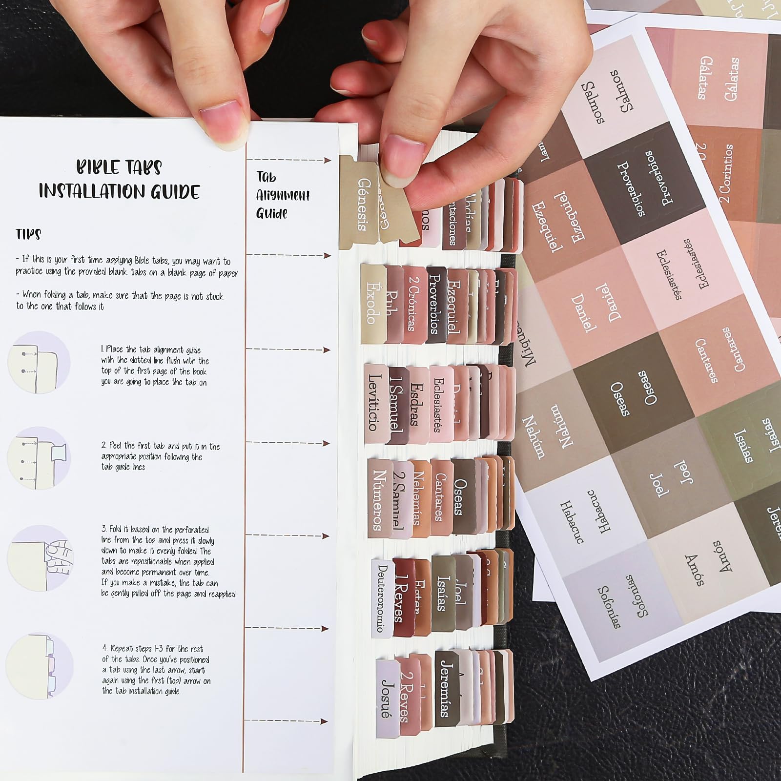 Snapklik.com : Spanish Earth Tone Bible Tabs, Large Print Laminated ...
