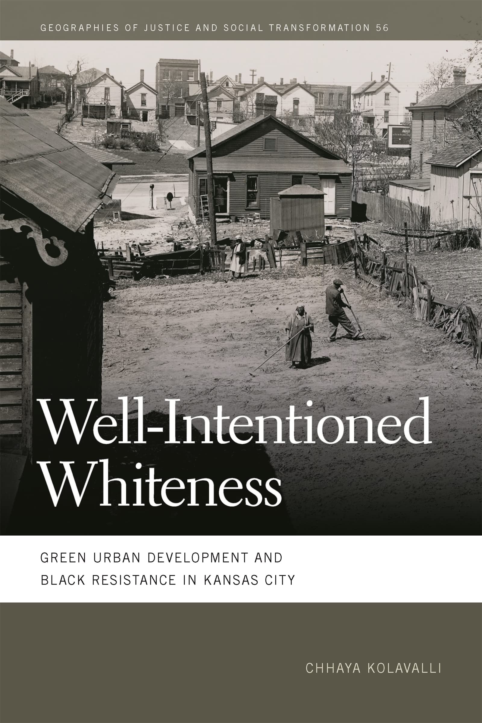 Well-Intentioned Whiteness: Green Urban Development and Black ...