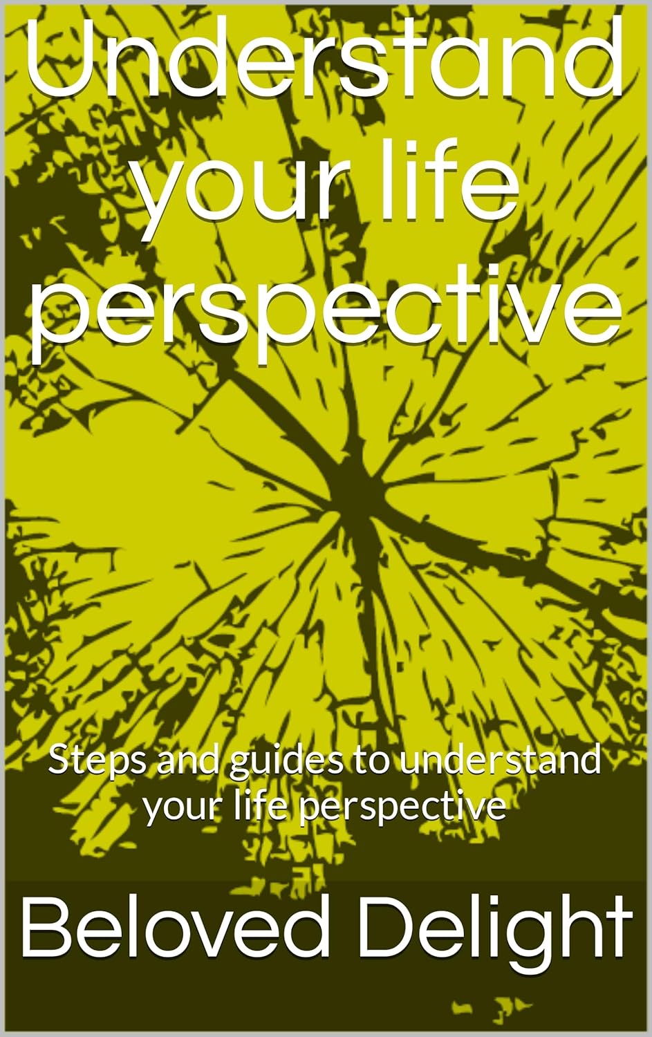 Understand your life perspective: Steps and guides to understand your ...