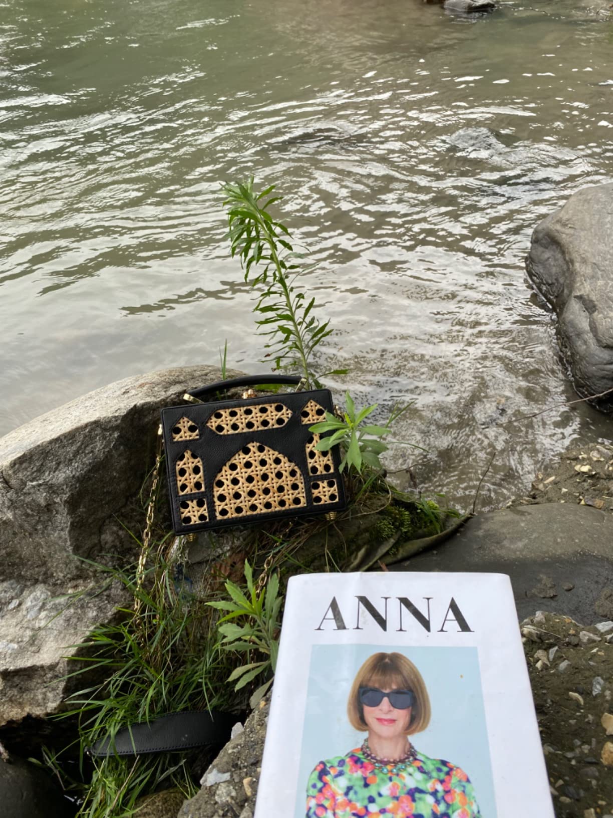 Buy Anna Book Online at Low Prices in India | Anna Reviews & Ratings ...