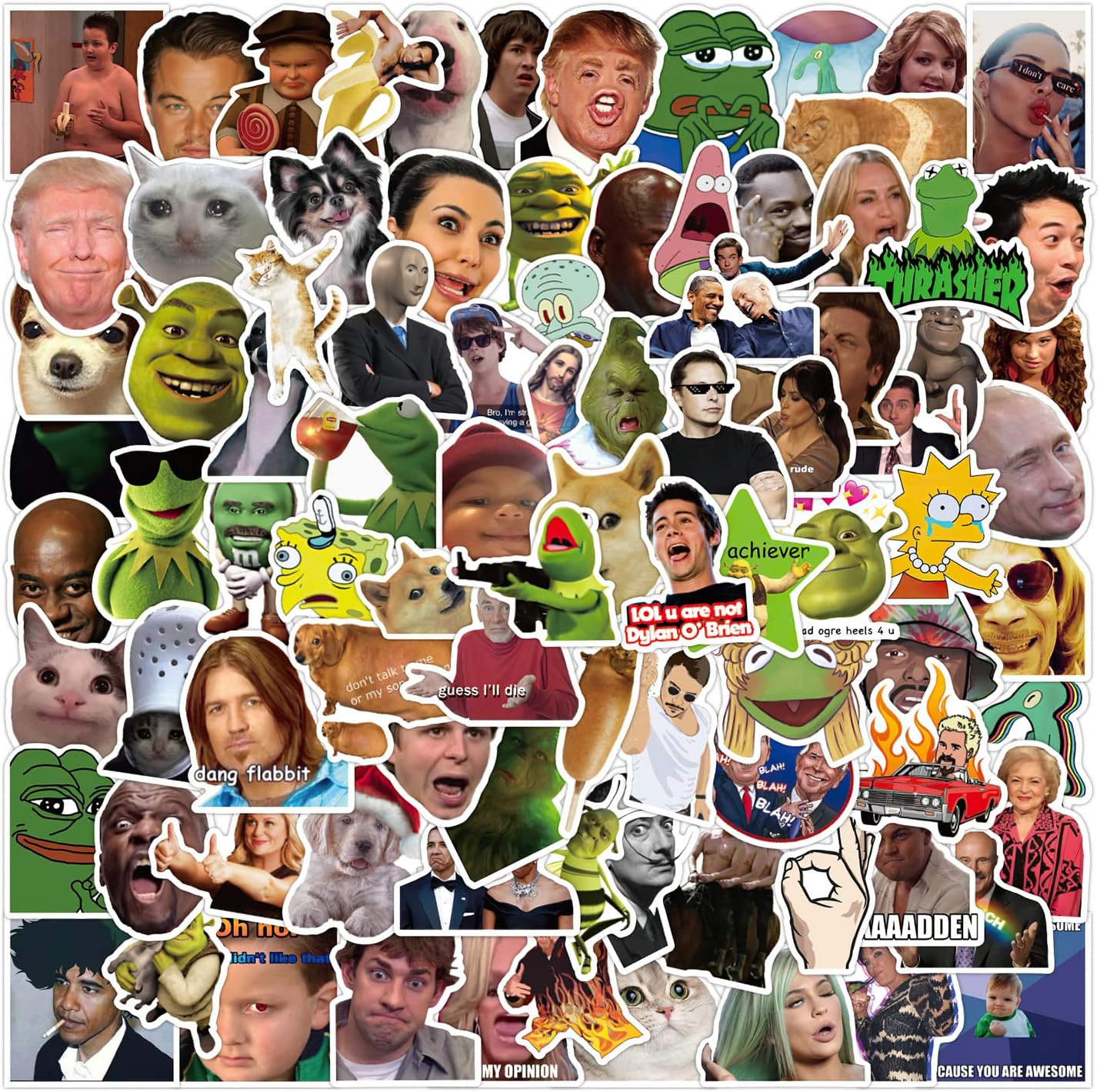 100pack Meme Aufkleber für Laptop Geschenk für Kinder Teens Erwachsene ...