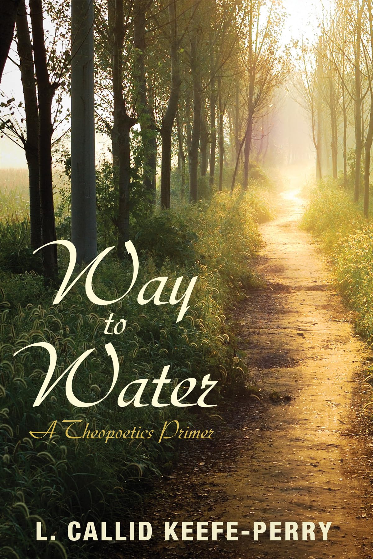 Way to Water: A Theopoetics Primer: Keefe-Perry, L. Callid, Veling ...
