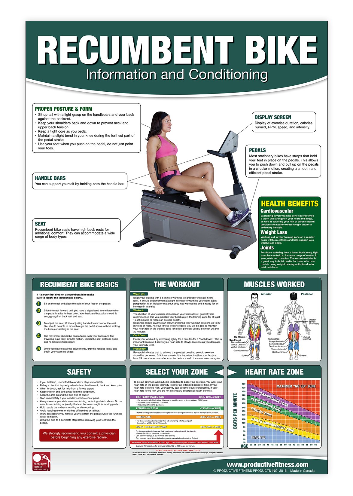 Buy Recumbent Bike /Chart; Recumbent Bike - Exercise Bike - Stationary ...
