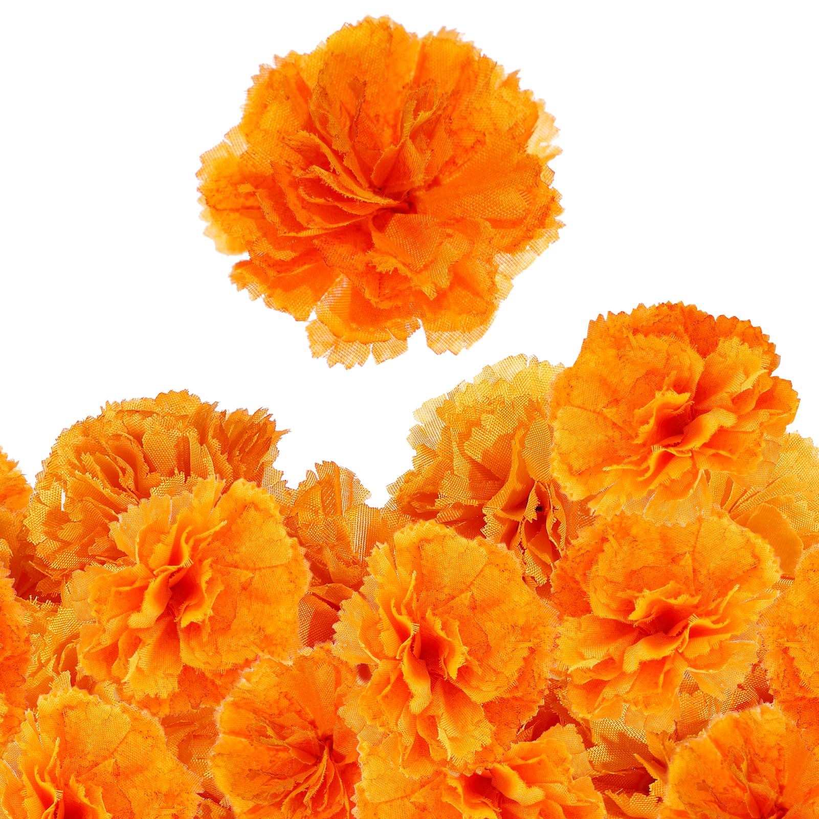 Amazon.com: Bigmeta 100 Pcs Day of The Dead Marigold Flowers Heads, Dia ...