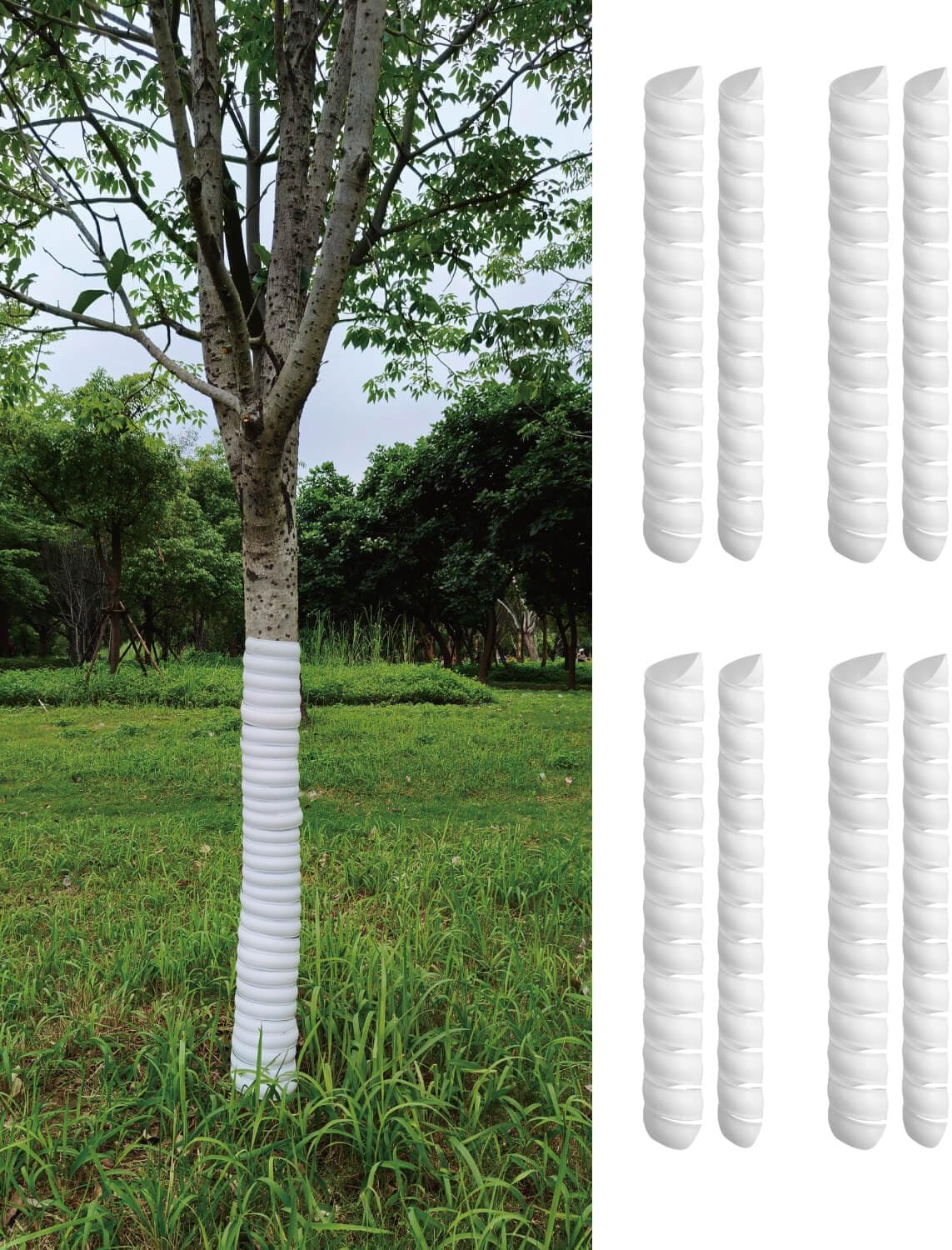 Amazon.com : 2 Size Tree Trunk Protectors - 8 Pcs Plastic Spiral Tree ...