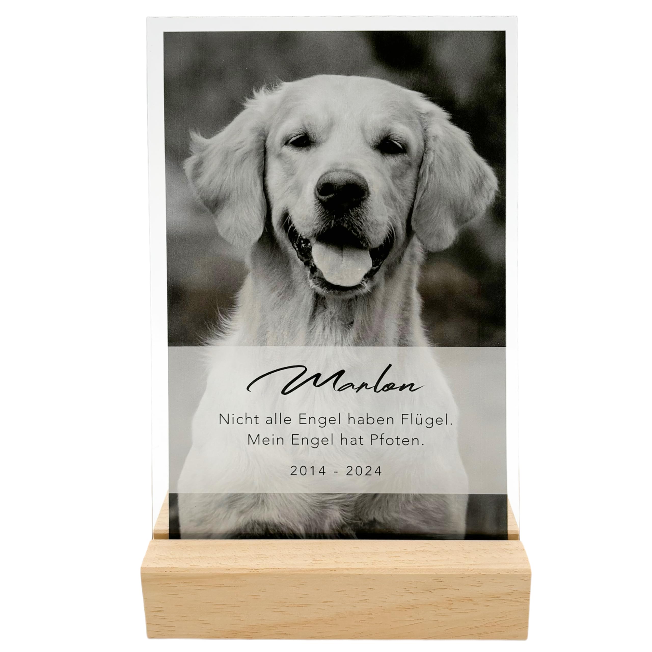 Erinnerung An Hund Geschenk