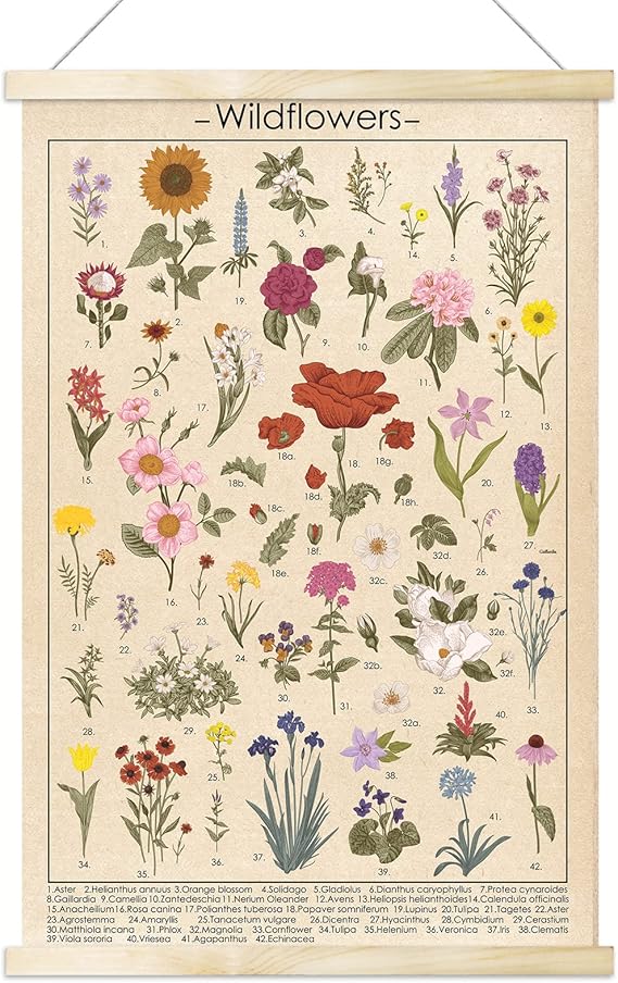 Amazon.com: Vintage Wildflowers Poster Botanical Wall Art Prints ...