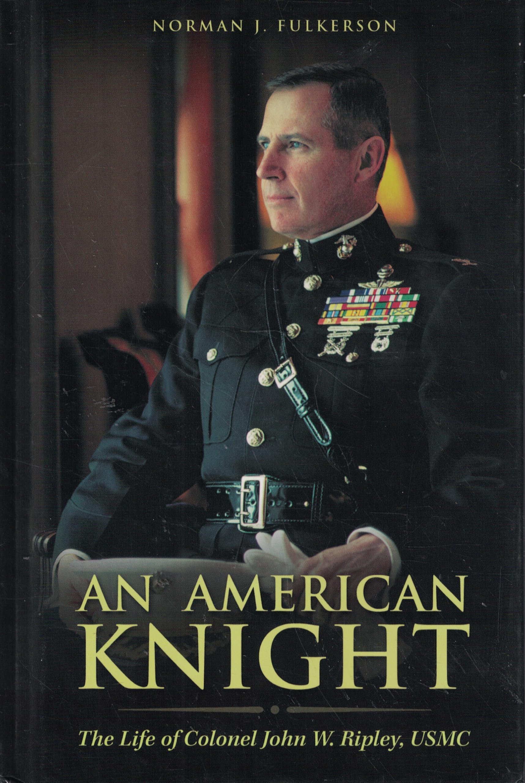 An American Knight: The Life of Colonel John W. Ripley, USMC: Norman J ...
