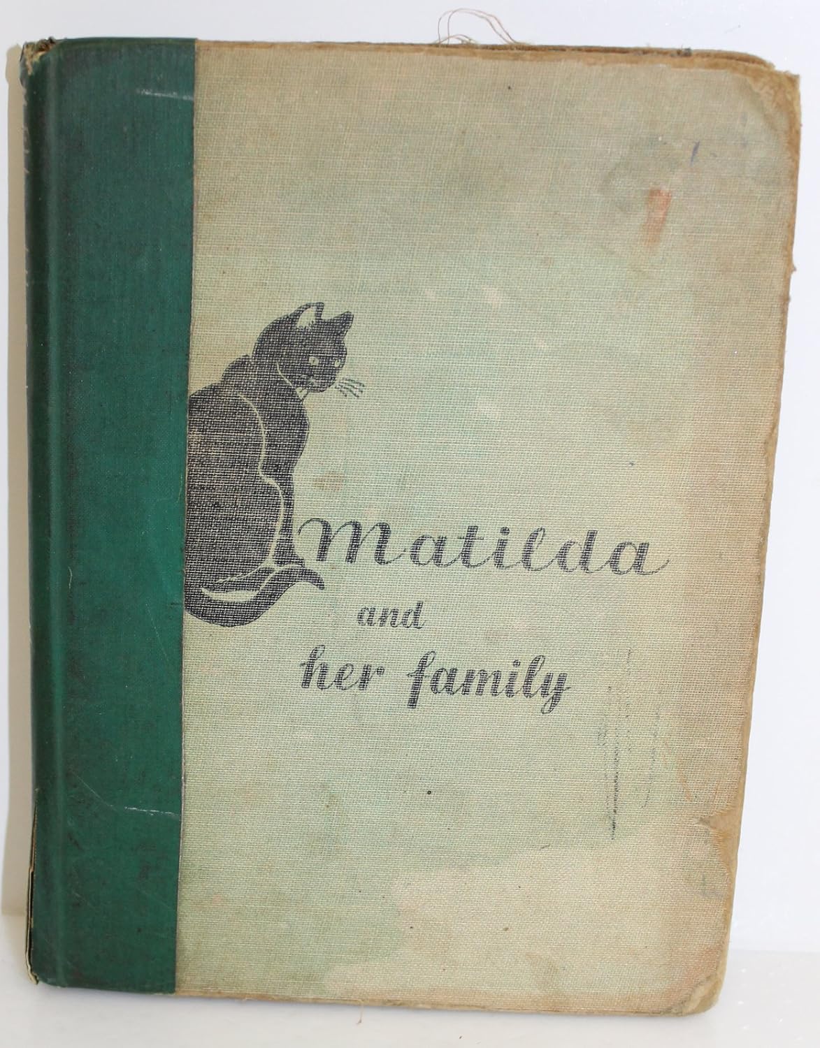 Matilda and her family: Mason, Miriam Evangeline: Amazon.com: Books