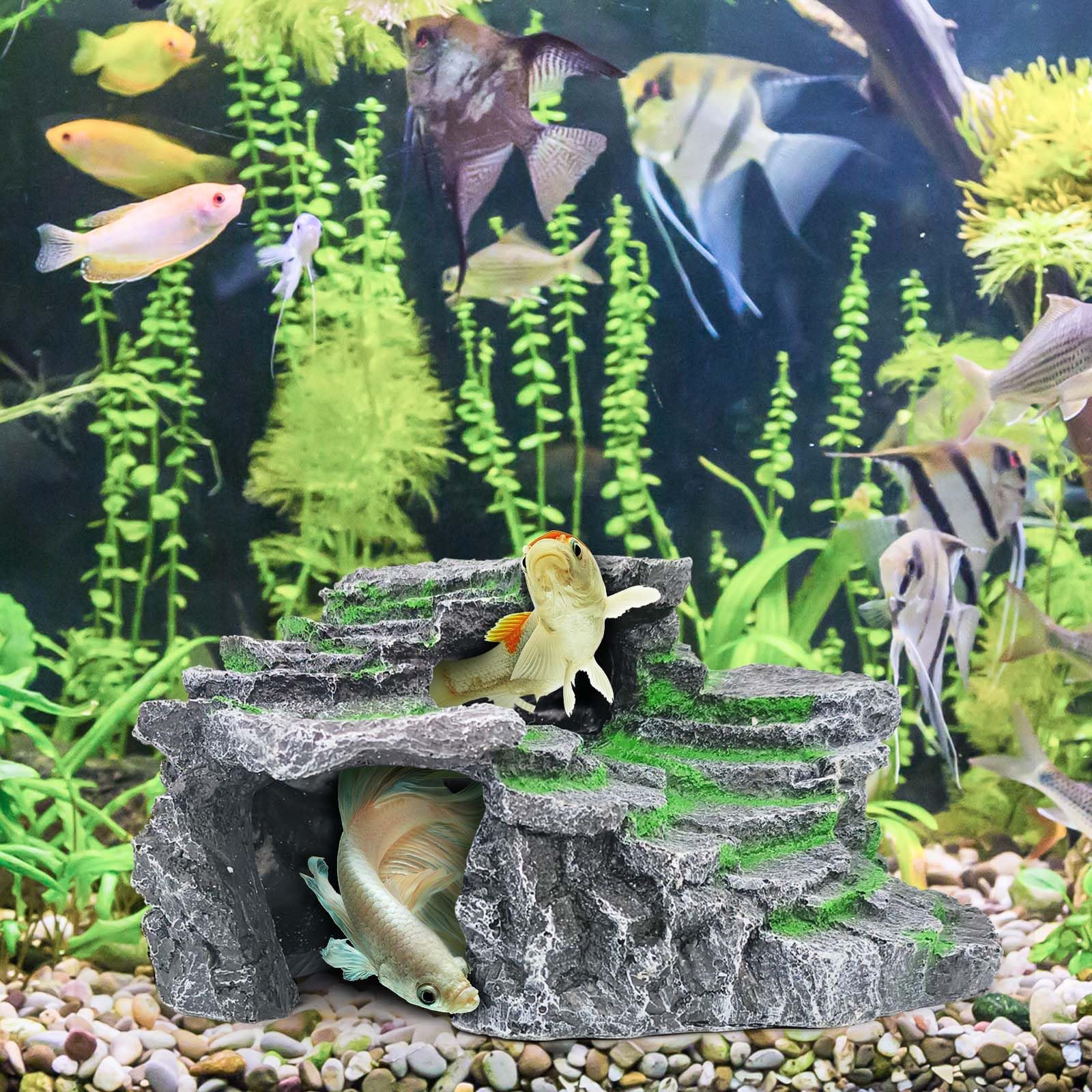 Snapklik.com : Moonorange Turtle Basking Platform Turtle Tank ...