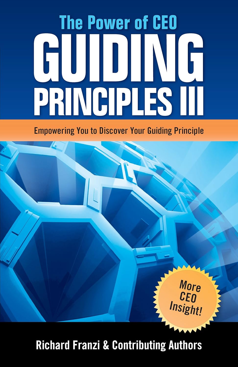 Critical Mass The Power of CEO Guiding Principles III: Richard Franzi ...