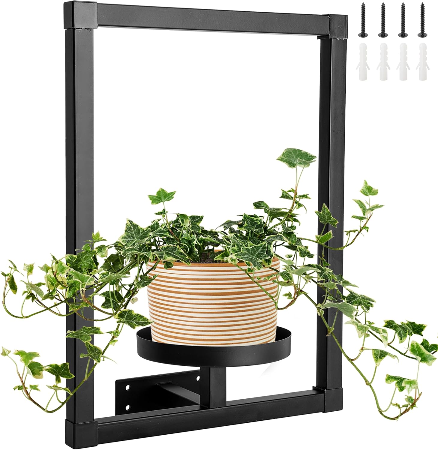 Amazon.com: DECOHS Picture Frame Wall Plant Holder, Metal Plant Frames ...