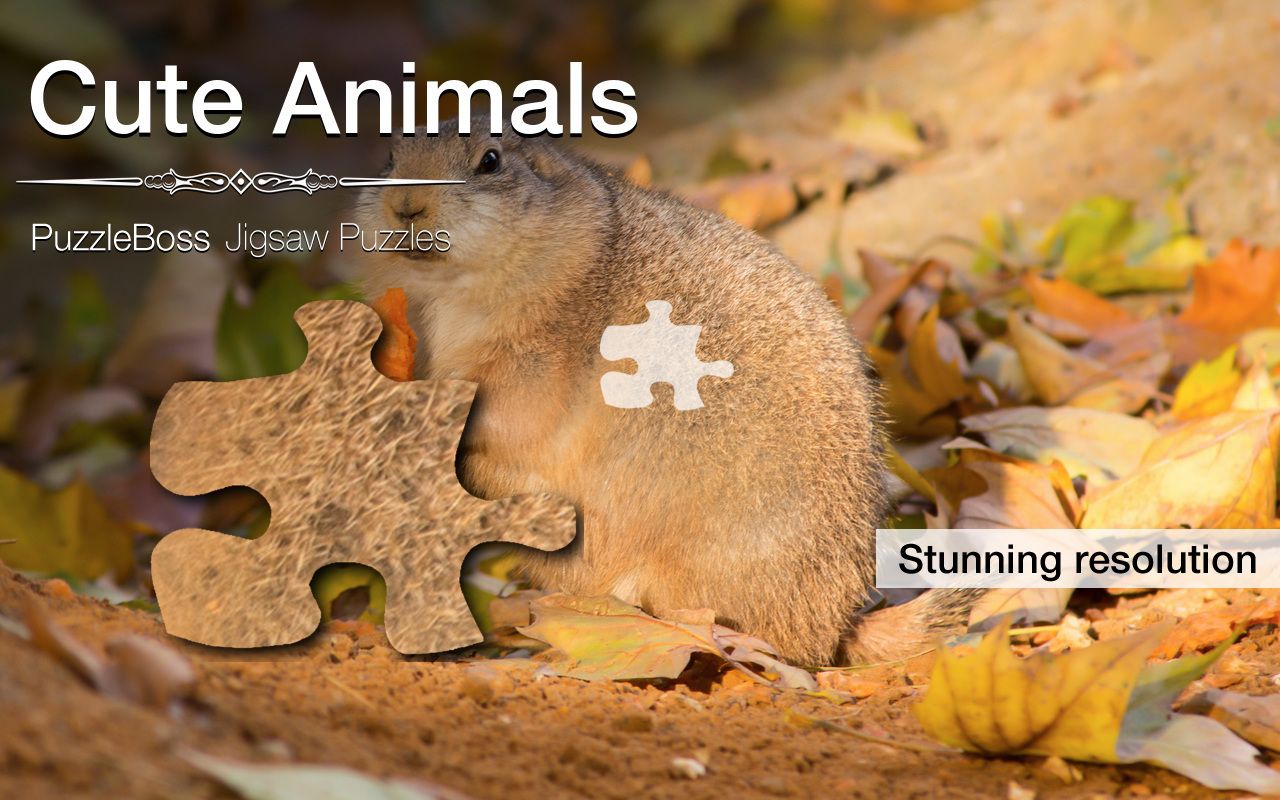 Cute Animals Jigsaw Puzzles - App on the Amazon Appstore
