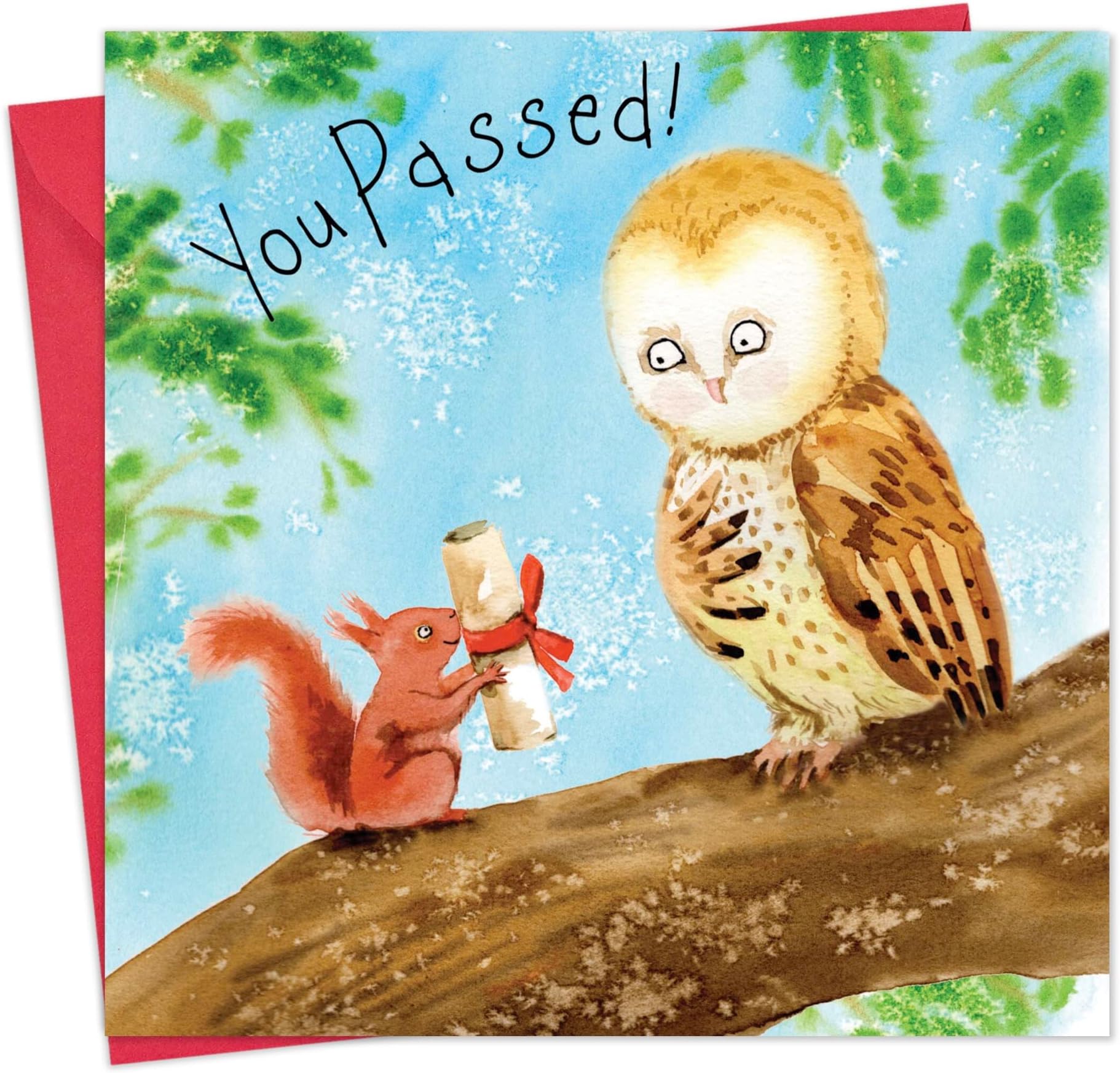 Twizler Well Done Card - Congratulations Card - You Passed Card - You ...