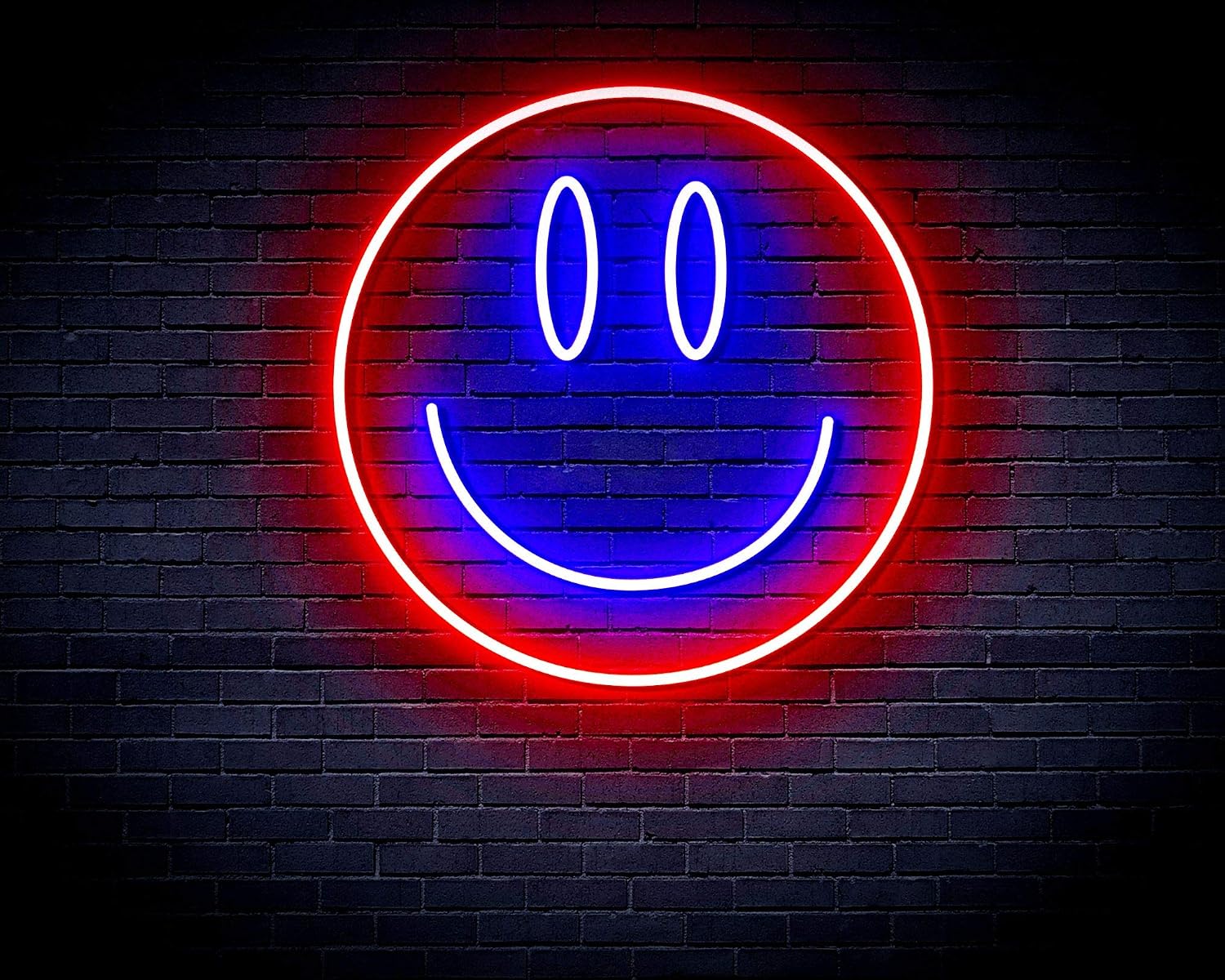 ADVPRO Smiley Face Emoji Flex Silicone LED Neon Sign Blue & Red st16s33 ...