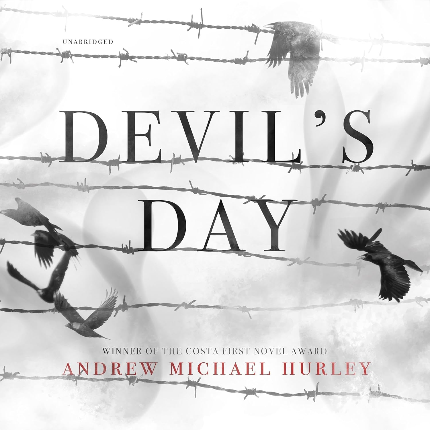 Amazon.com: Devil's Day (Audible Audio Edition): Andrew Michael Hurley ...