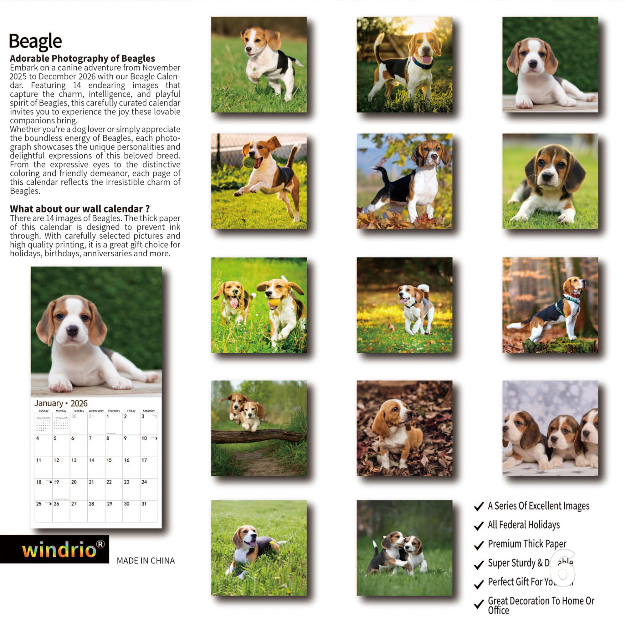 Snapklik.com : 2026 Wall Calendar,Calendar 2026, November 2025 ...