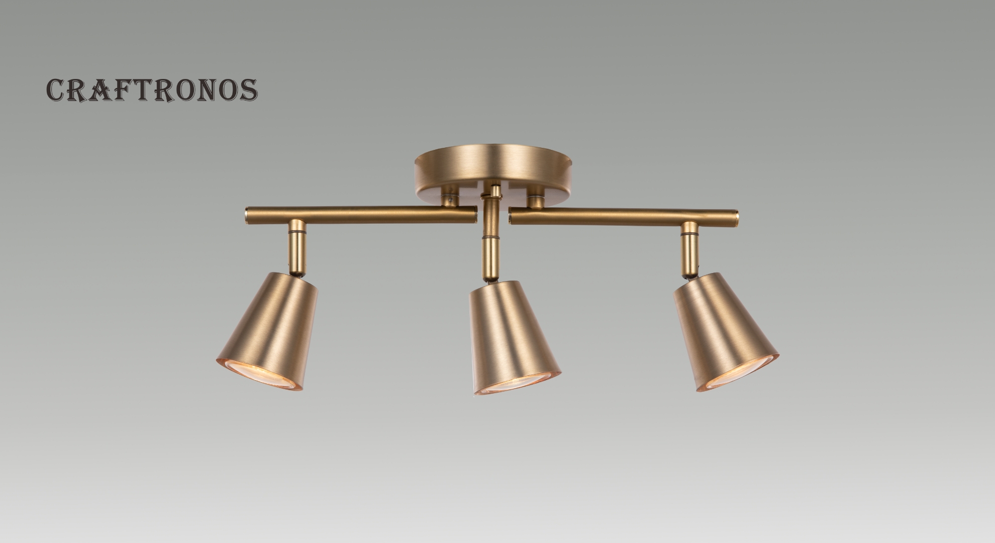 Rose With 3 Lights Bronze Track Lighting Modern Track Lighting System