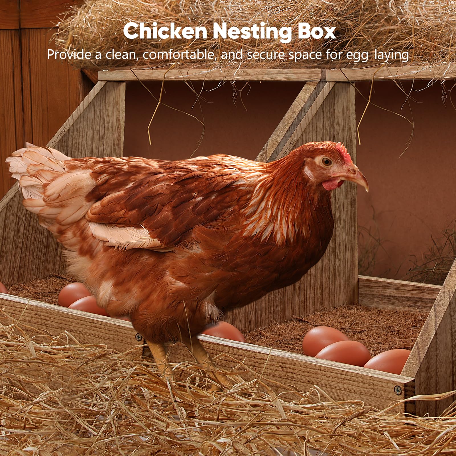 Chewoof 2 Pack Chicken Nesting Box, Wooden Chicken Coop, Chicken Coop ...