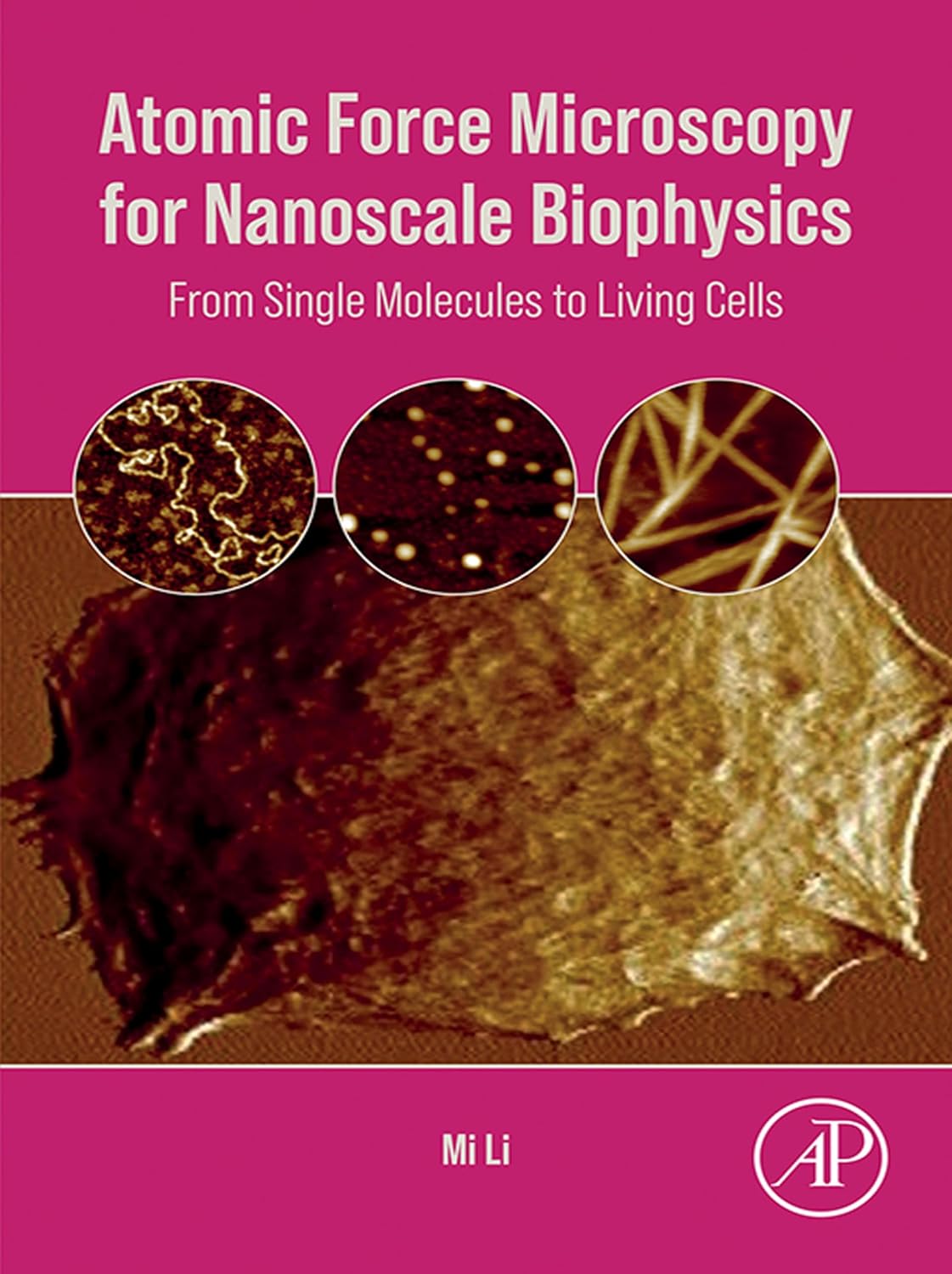 Atomic Force Microscopy for Nanoscale Biophysics: From Single Molecules ...