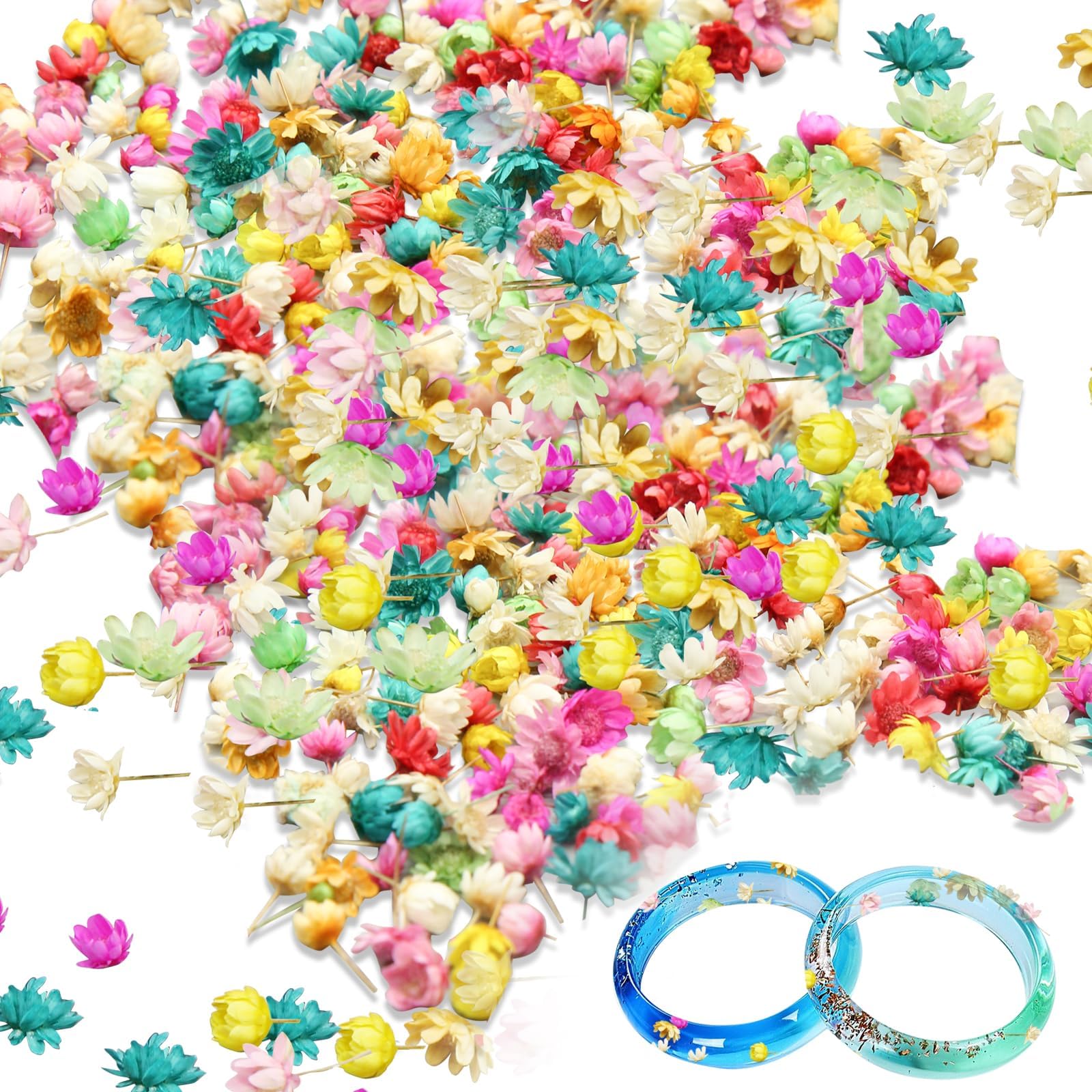 300Pcs Small Dried Flowers for Crafts - Mini Dried Flowers for Resin ...