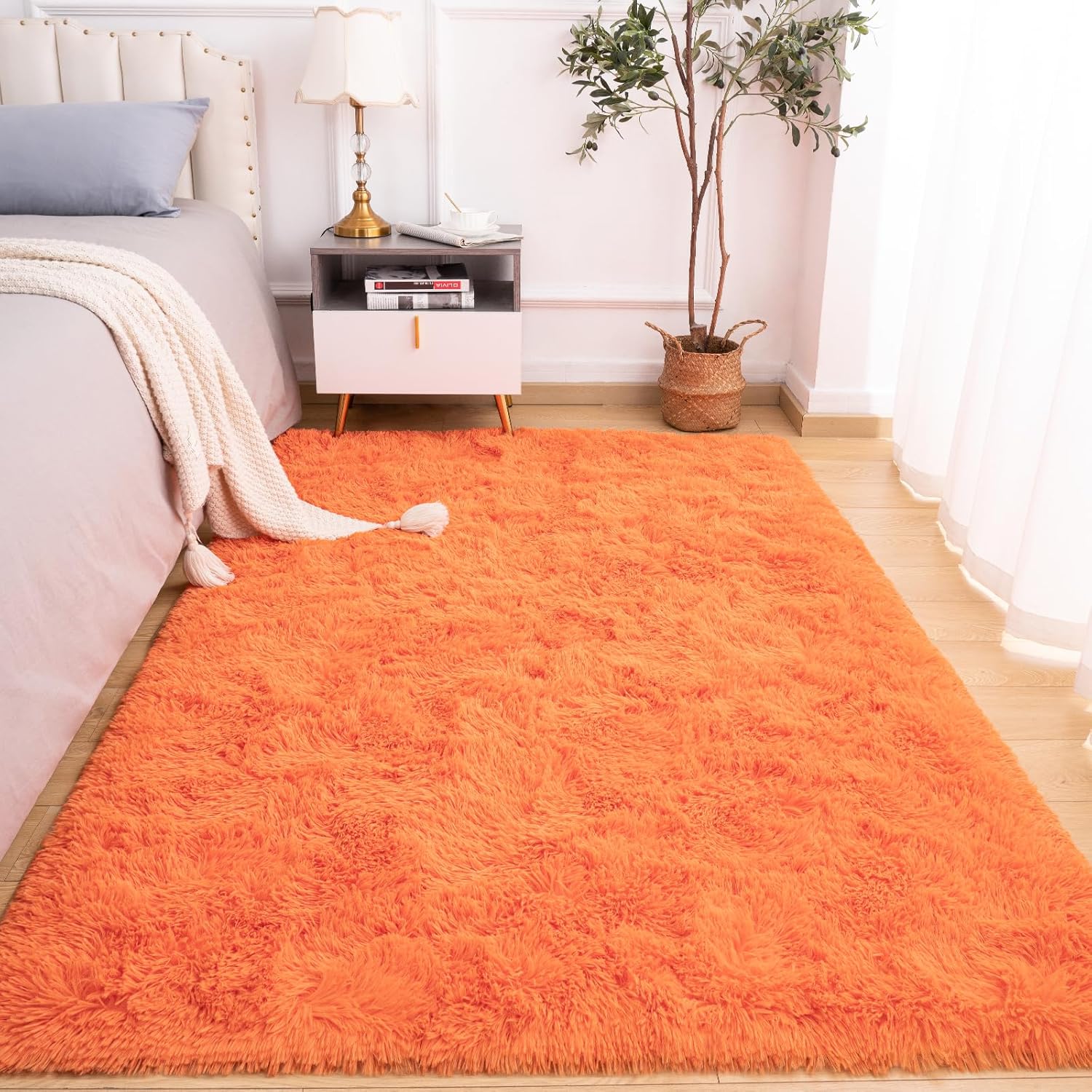 Amazon.com: Softlife Area Rug for Bedroom, 4x6 Feet Plush Fluffy Rug ...