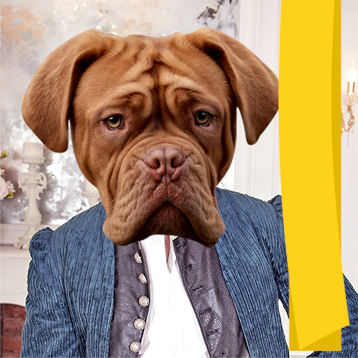 Animal Face - App on Amazon Appstore