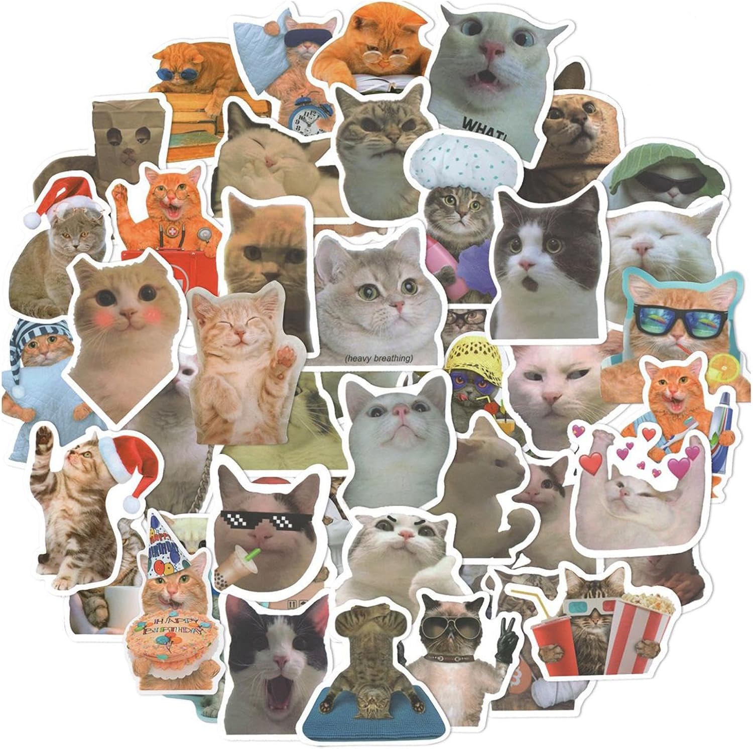 Cat Stickers, 50Pcs Funny Cat Stickers, Waterproof Sun-Proof PVC ...