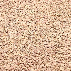 Amazon.com: Premium Pebbles Coarse Sand. Yellow Color. 1/8 Inch 2 lbs ...