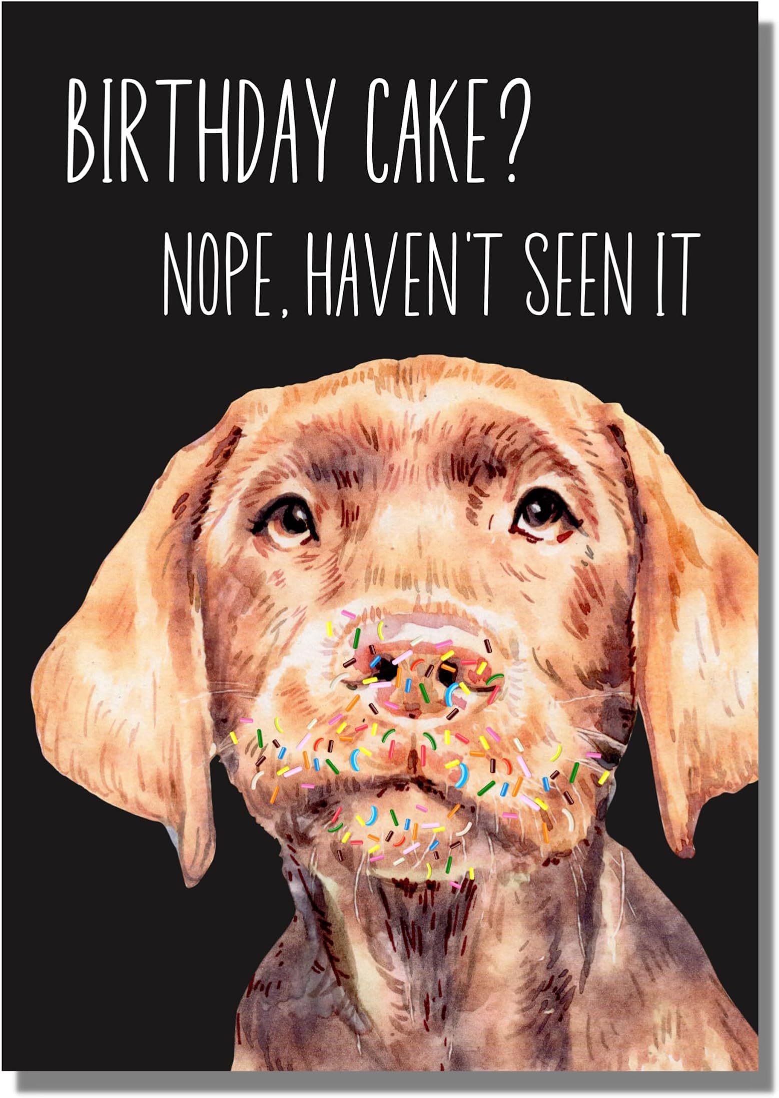 Cute Labrador Happy Birthday Card - Labrador Dog With Party Hat - Blank ...