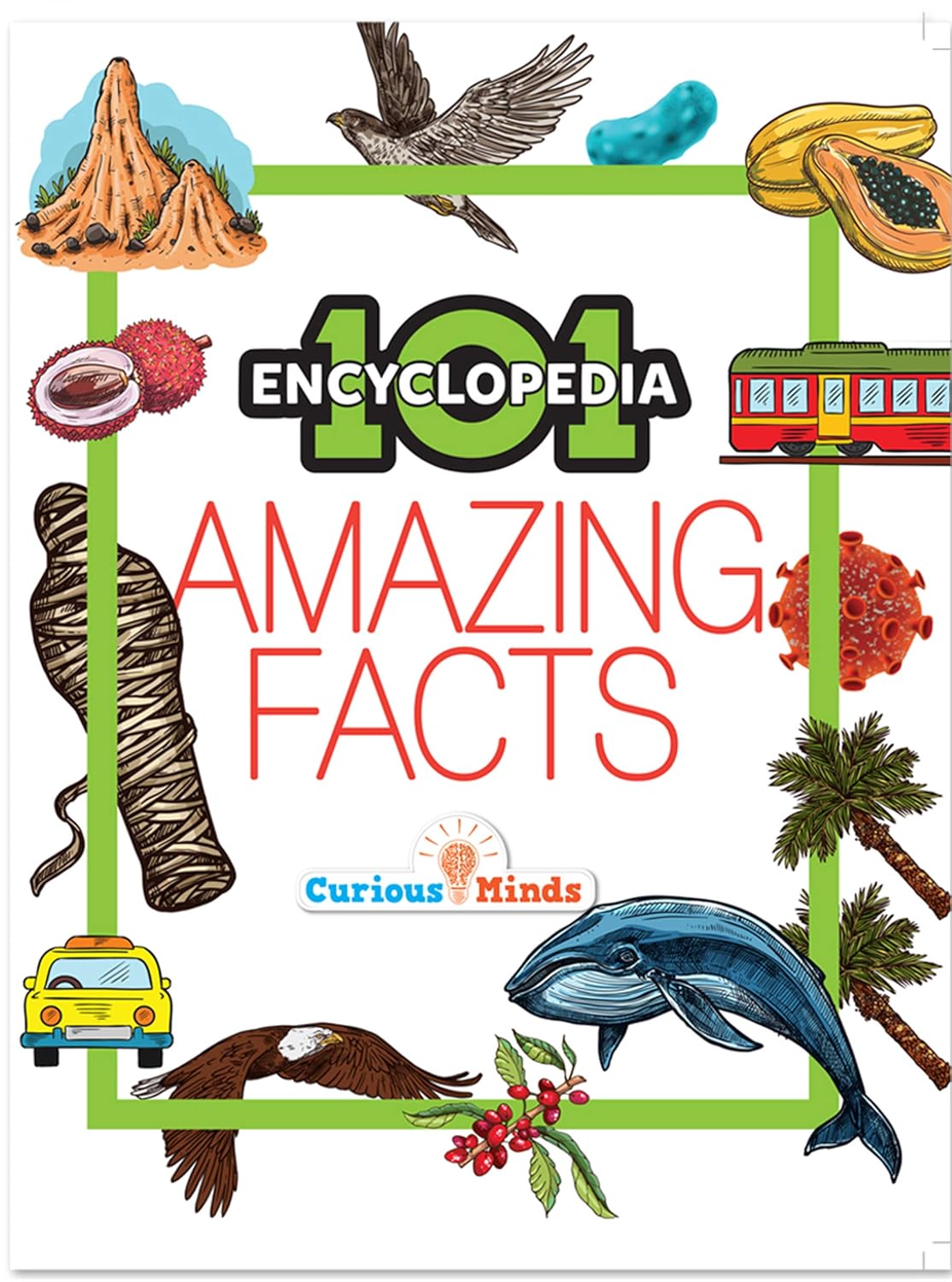 101 Amazing Facts – Illustrated Encyclopedia for Kids Ages 7–10 | Fun ...
