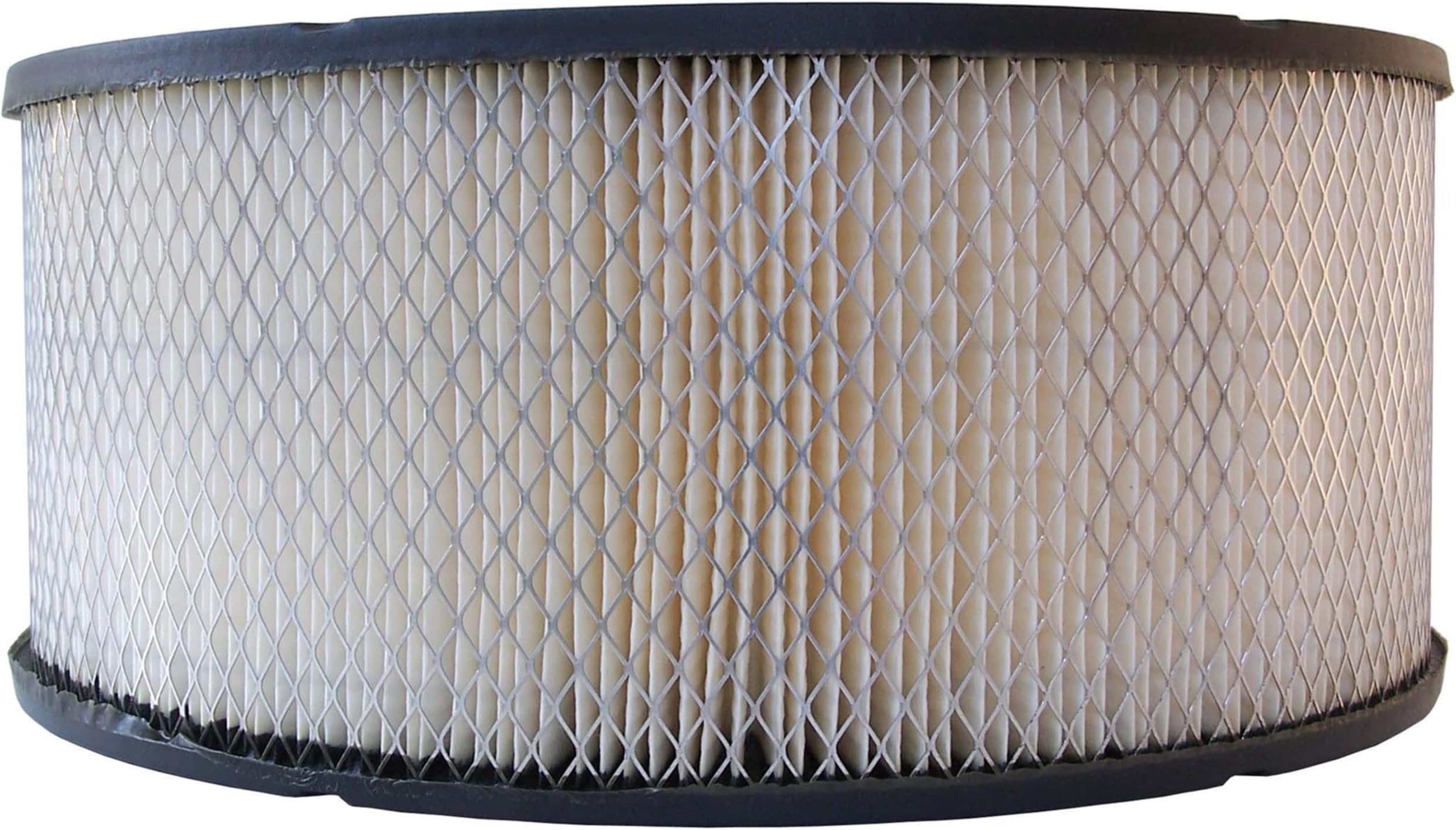 Amazon.com: ACDelco GM Original Equipment A753C Air Filter : Automotive