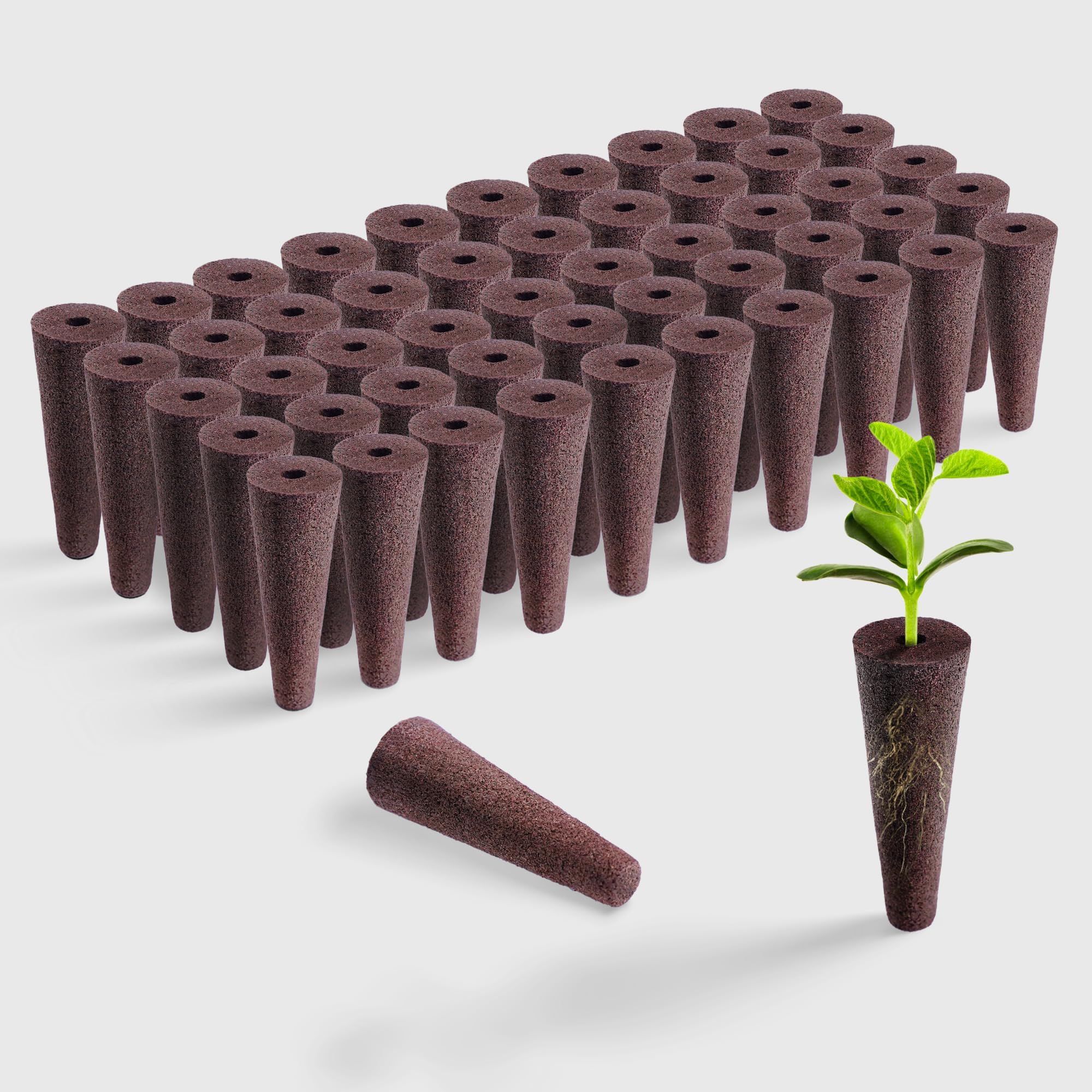 Amazon.com: hahalife 50 pcs Grow Sponges for Hydroponics, Replacement ...