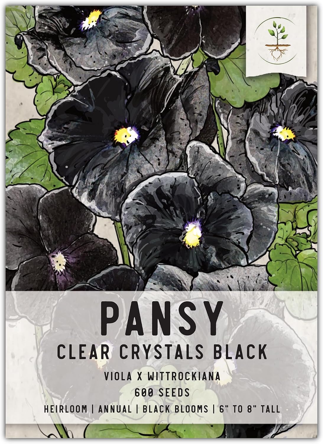Amazon.com : Seed Needs, Clear Crystals Black Pansy Seeds - 600 ...