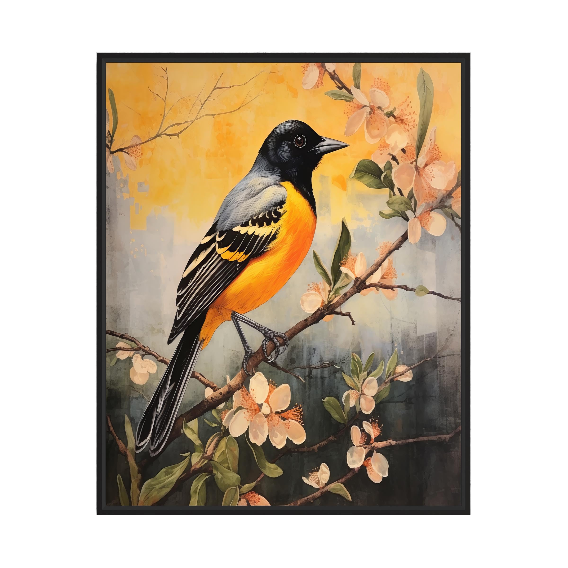Amazon.com: Baltimore Oriole Art Print Poster, Bird Wall Art Vintage ...